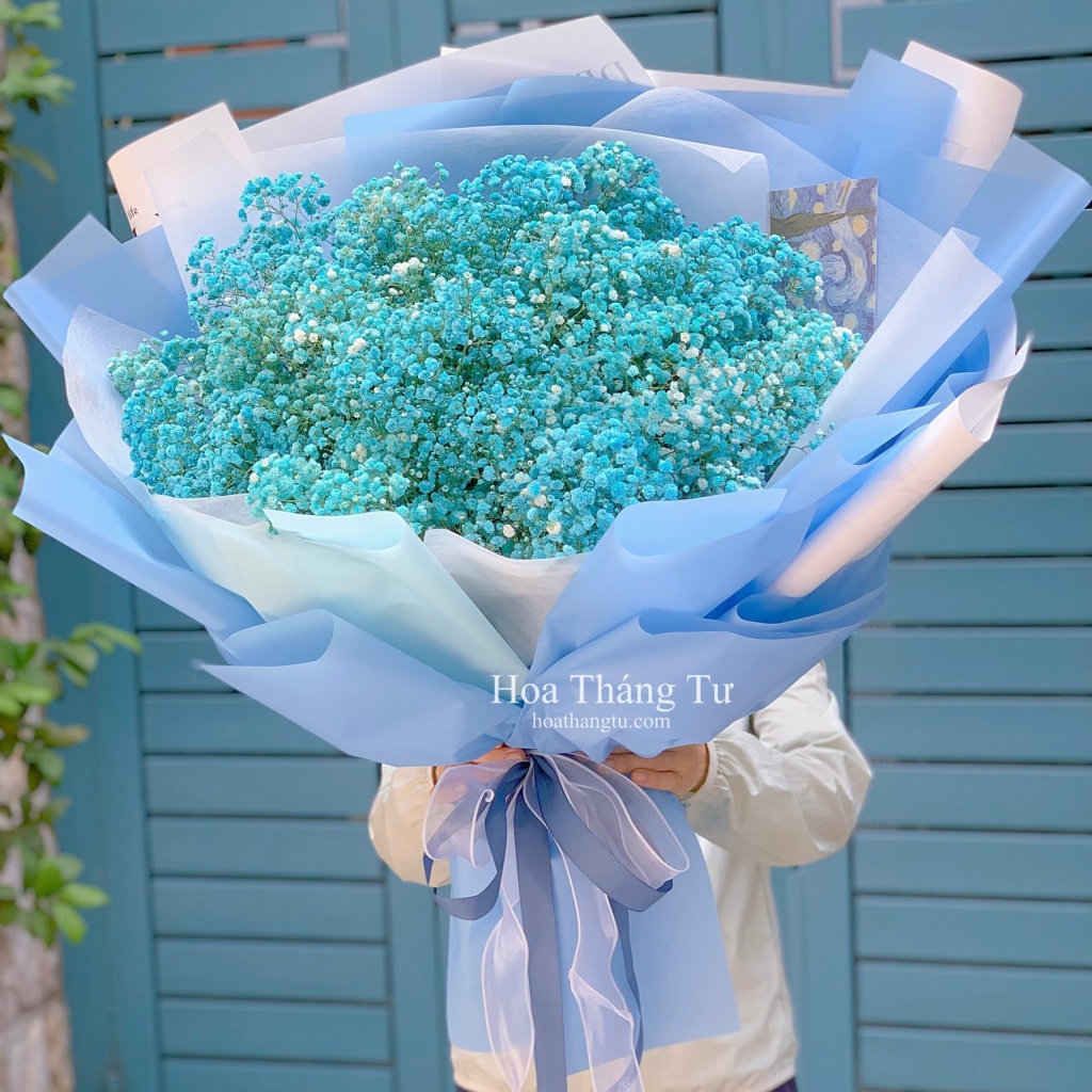 Bó hoa baby xanh dương – Hoa Tháng Tư